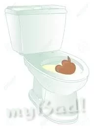 beau caca bien noir | Femelle 39 ans | Canada, Québec, Montreal